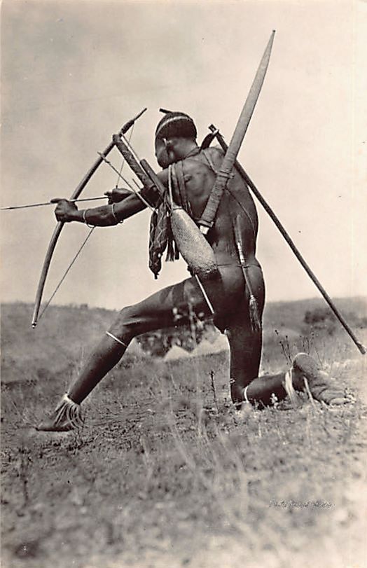 Chad - Archer - Publ. Société Algérienne des Transports Tropicaux ...