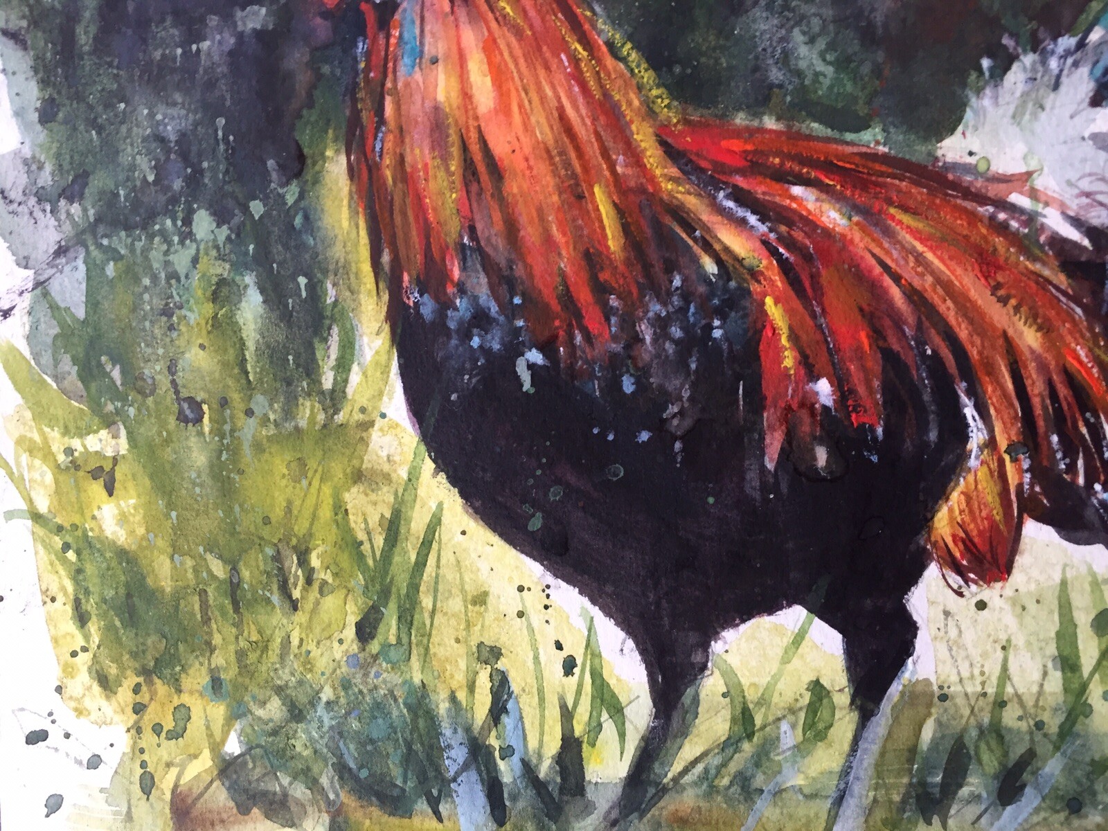 Original Watercolor Painting Gallo 9" X 12" NOT A PRINT | eBay