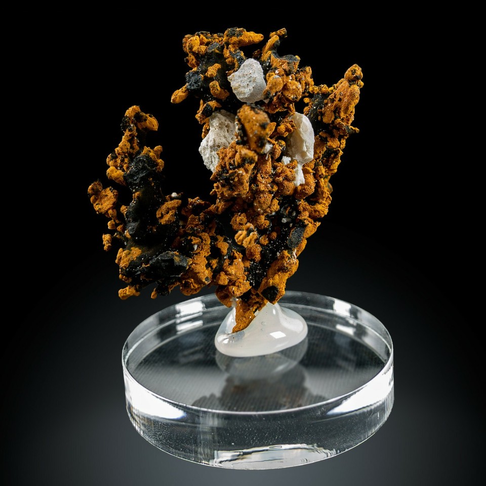 Best dendritic Romanéchite with Göethite coral shaped specimen | eBay