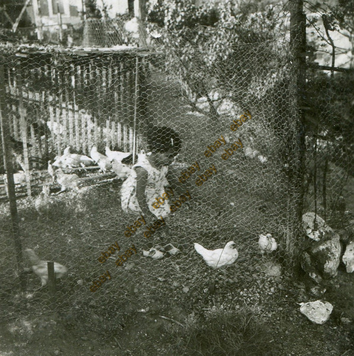 Melissia Melissia Goff