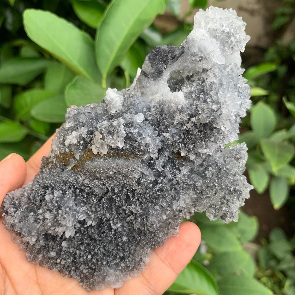 219g Natural Sparkling Star Mineral Standard Quartz Crystal Energy Healin | eBay