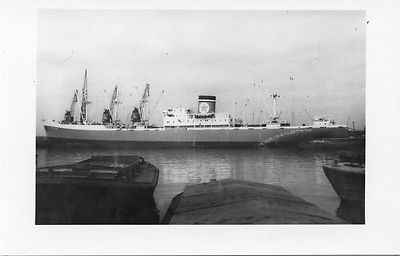 Y241 RP 1950s BLUE STAR LINE SHIP ' ULSTER STAR ' | eBay