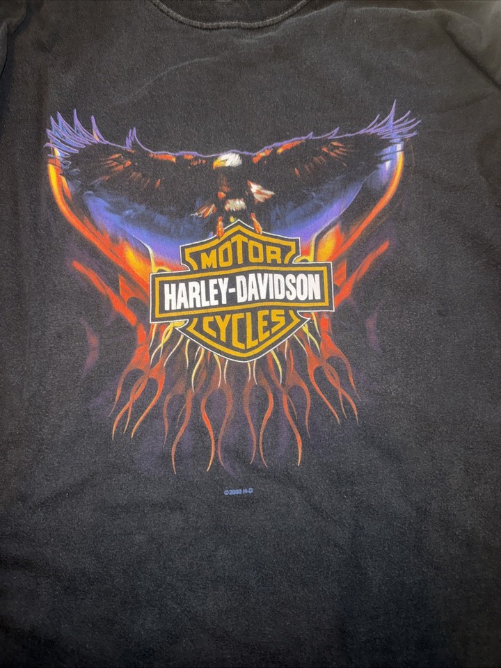 Vintage Y2k 2000 Harley Davidson Longsleeve Flames Dice Pin Up T Shirt ...