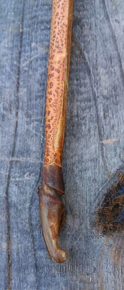 Antique Authentic English Longbow Genuine Horn Nocks Tips 68" Long | eBay