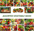 ASSORTED VEGETABLE SEEDS Summer Vegetable Garden Mixed Vegetable Seeds ...