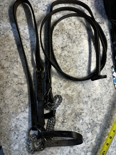 Schneiders Arabian Training Horse Halter With Chain and Lead | eBay