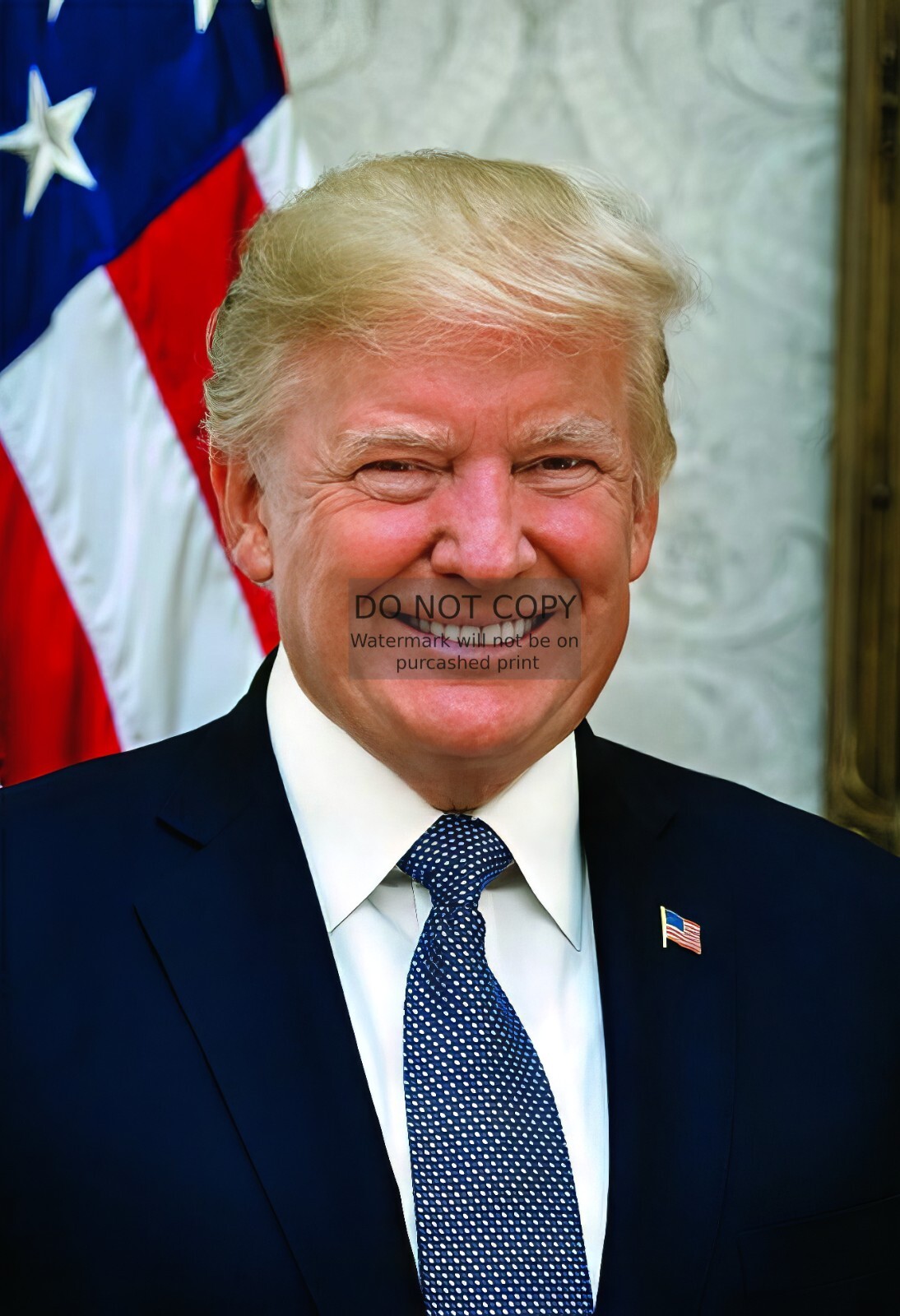 PRESIDENT DONALD TRUMP OFFICIAL WHITE HOUSE PORTRAIT 13X19 PHOTO POSTER ...