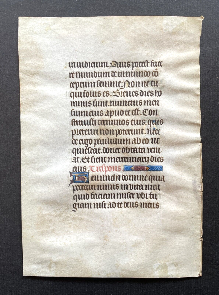 Circa 1500 Illuminated Manuscript Leaf Devotional Hours Vellum ...