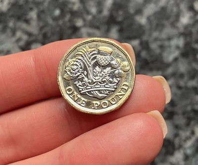 Rare 2016 One Pound Coin, Rose, Crown And Shamrock | eBay UK