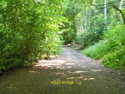 Photo 6x4 A circular walk around Blockley [2] The track passes through Do c2021 | eBay UK