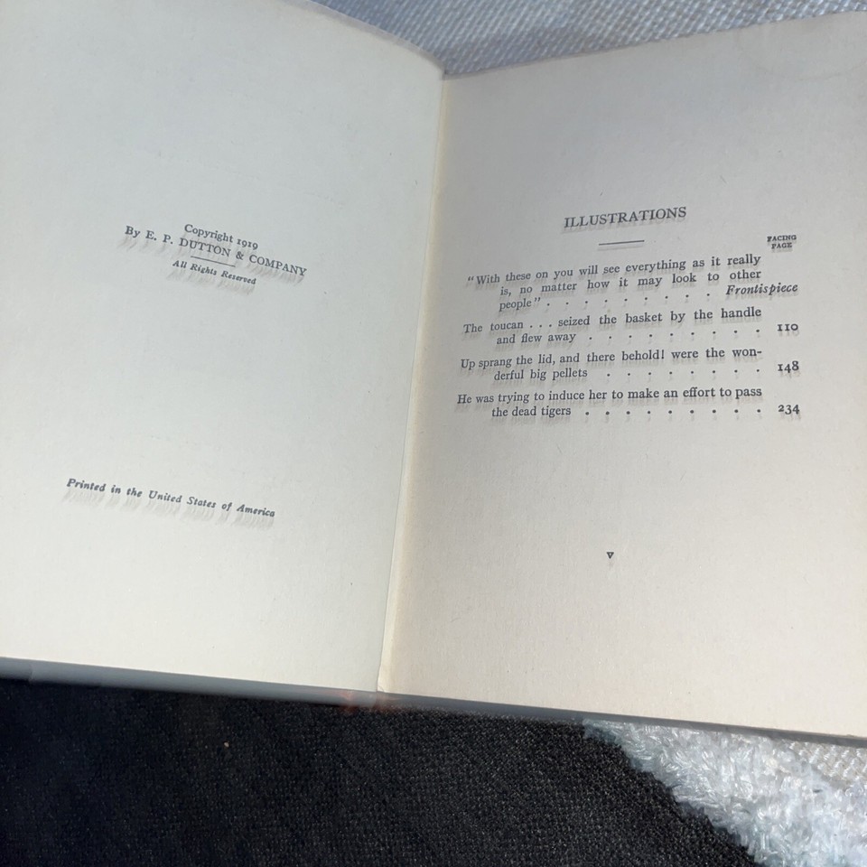 1919 The Enchanted Island - Fannie Louise Apjohn - Antique Fiction E.P ...