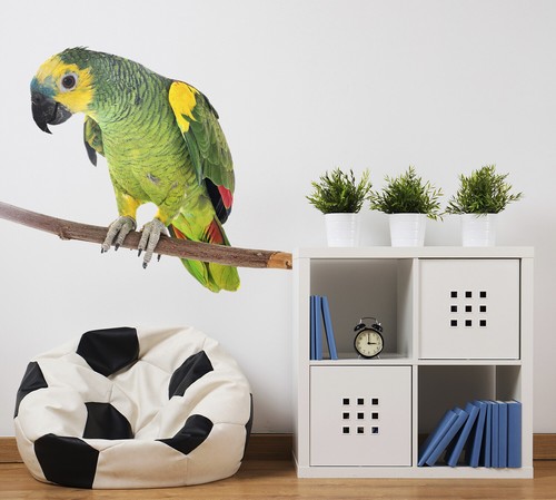3D Green Parrot G278 Animal Wallpaper Mural Poster Wall Stickers Decal ...