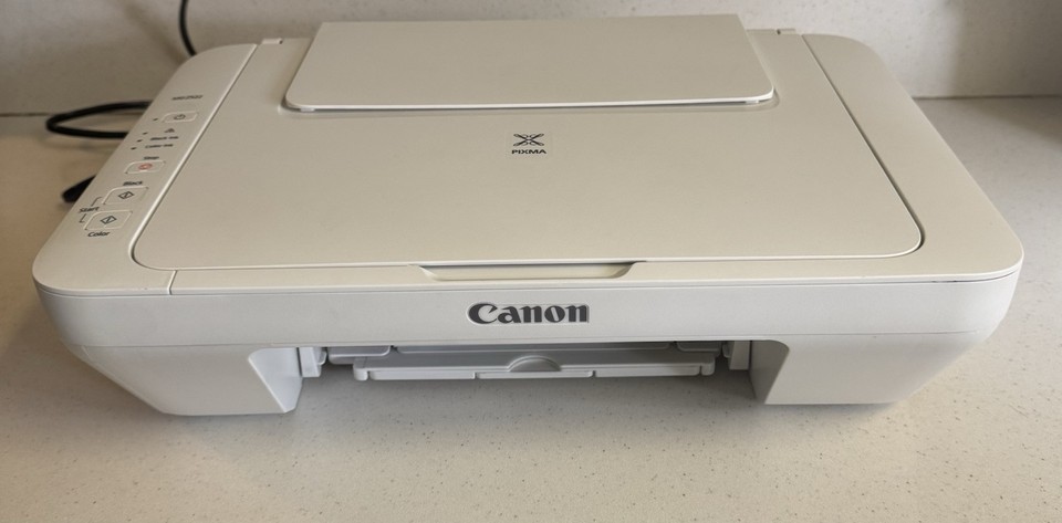 Canon PIXMA MG2522 All-In-One Printer - White | eBay