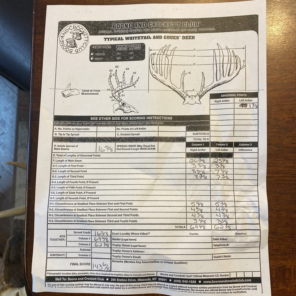 Beautiful Wild 143” Main frame 8 pt Deer Antler Rack Horn Sheds ...