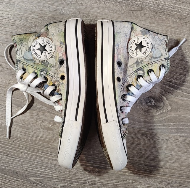 Converse Looney Tunes x Chuck Taylor All Star High Looney Characters Sz ...