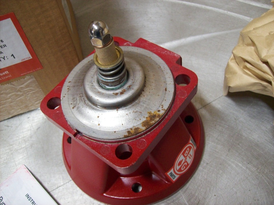Bell & Gossett Genuine OEM Pump 189162LF (with a little shelf rust ...