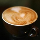 WP Decaf Mocha JAVA Ethiopian and Java Blend Fresh Roasted Coffee Beans | eBay