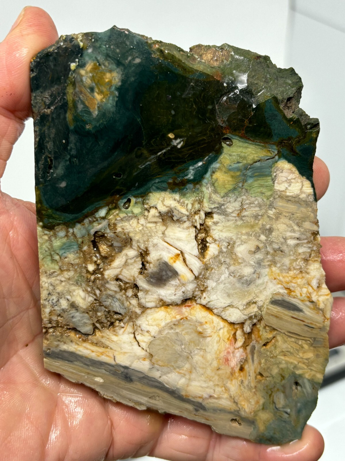 Gary Green Caldera Freedom Jasper Slab Cabbing Lapidary Combo Ship ...