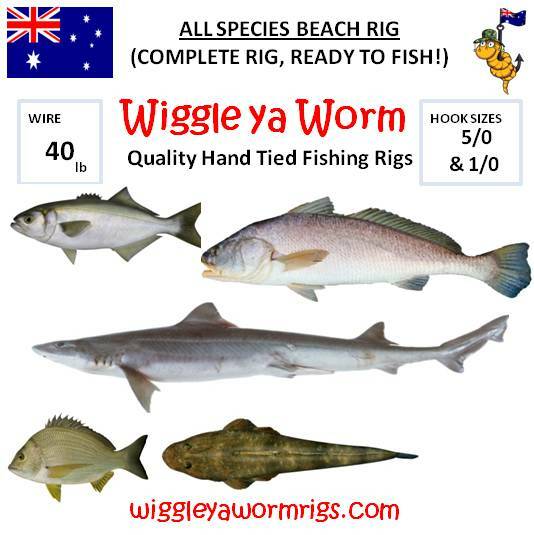 Types Of Surf Fishing Rigs