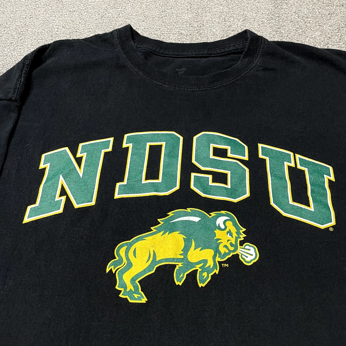 Ndsu Bison Herd