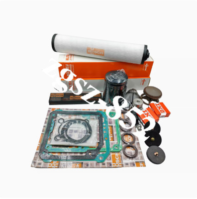1Pcs New For Vacuum pump repair kit RA160D/RA0202D 0993516588 FedEx or ...