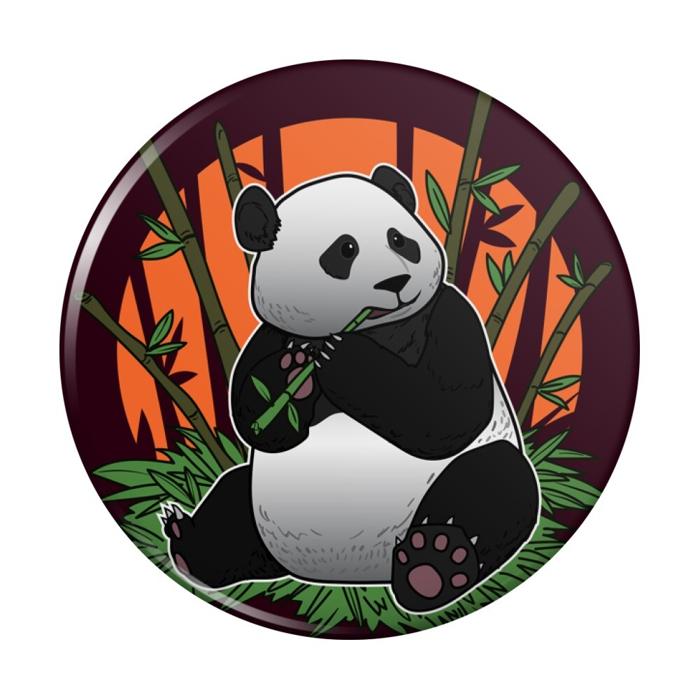 Panda Bear Makeup