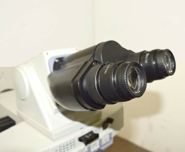 Nikon Eclipse E600 Dic Fluorescent & Epi Research Microscope for sale ...