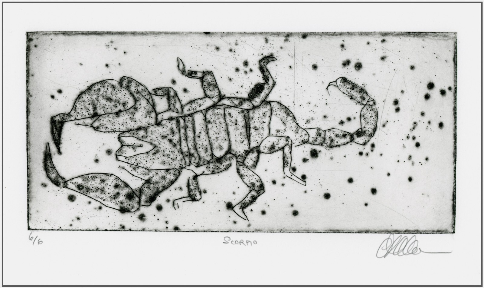 GIANT SCORPION Astrology Symbol Scorpio ORIGINAL EXPRESSIONIST ETCHING ...
