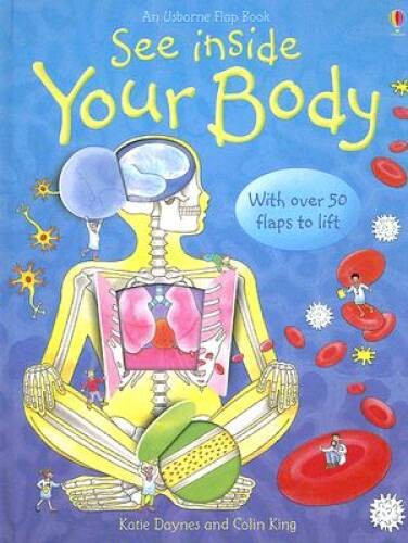 See Inside Your Body - Board book By Daynes, Katie - VERY GOOD ...