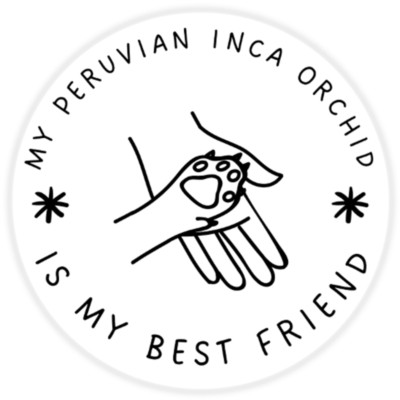 My Peruvian Inca Orchid is My Best Friend - 100 Pack Circle Stickers 3 ...