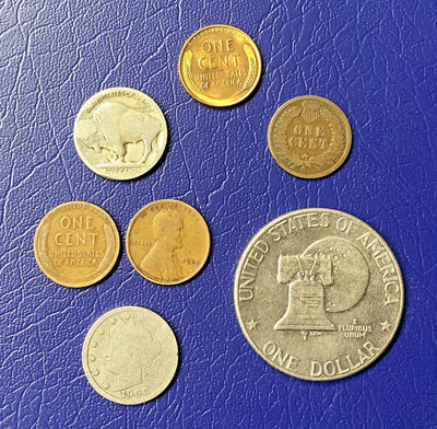 (US COINS Lot) Starter Coin Collection Indian Heads, Ike Dollars ...