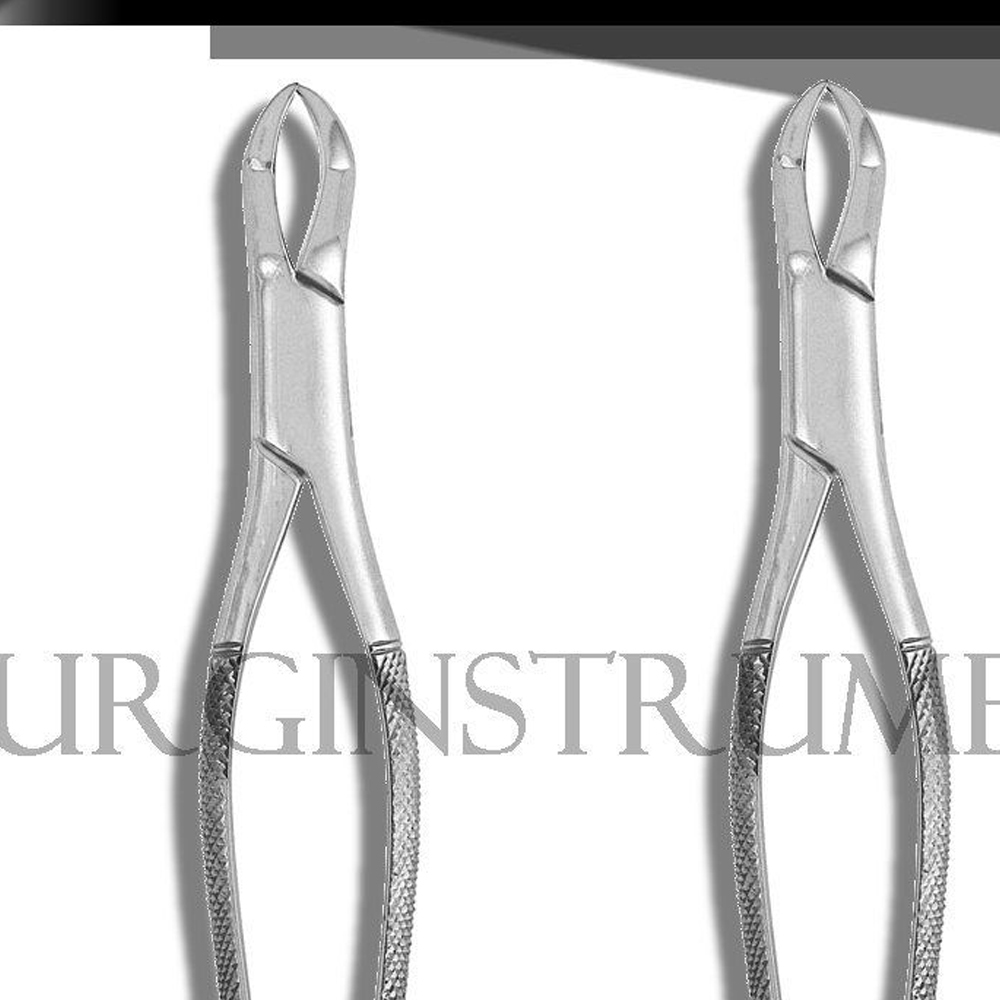 10 Pcs Extracting Forceps Dental Surgical Instruments 88R & 88L German ...