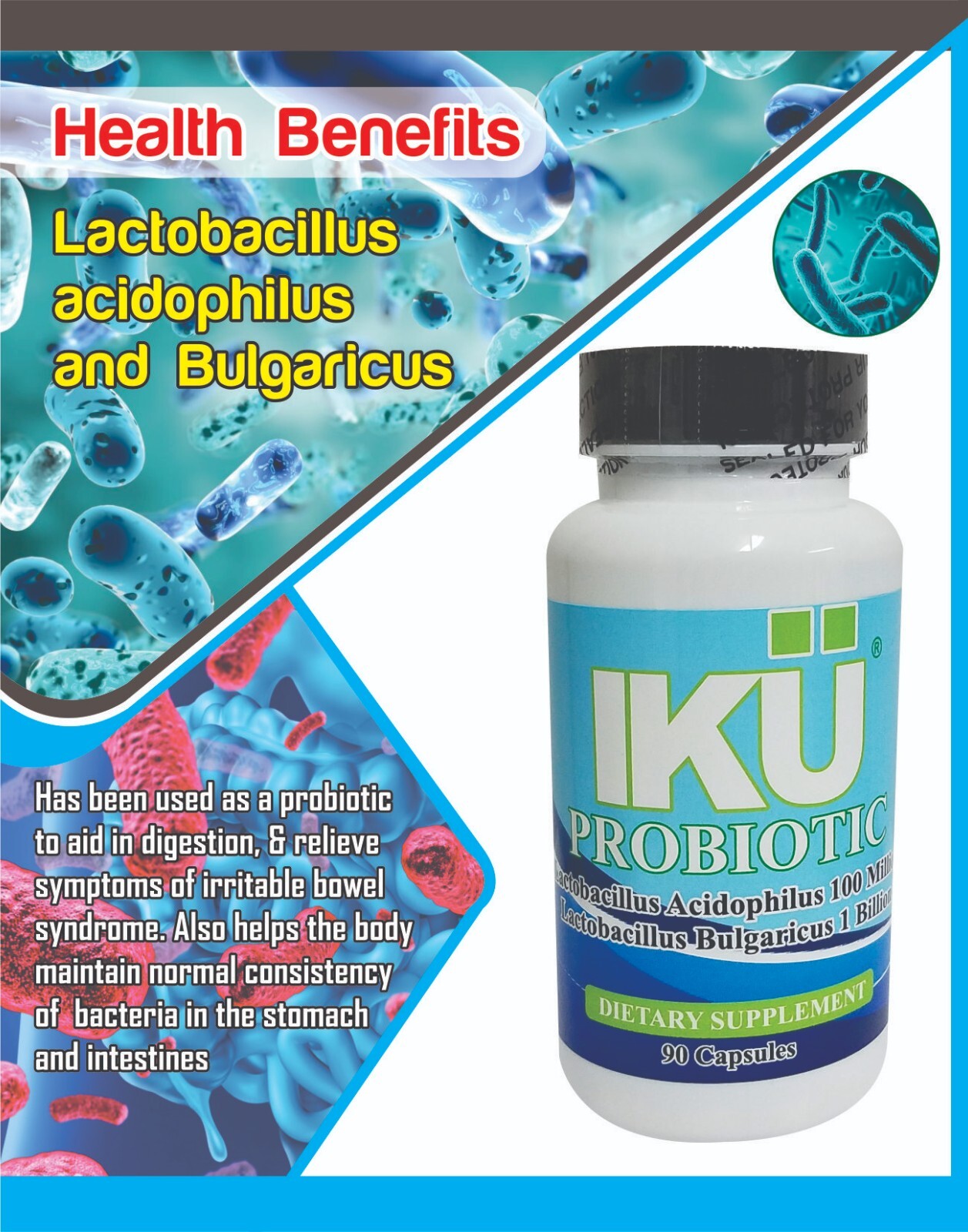 Benefits Of Lactobacillus Bulgaricus