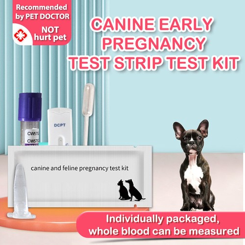Dog Pregnancy Test Strip Dog Pregnancy Test Card Canine Pregnancy Test ...