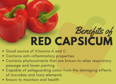 RED CAPSICUM SEEDS - HEIRLOOM - ORGANIC -OPEN POLLINATED- NON-GMO (20 ...