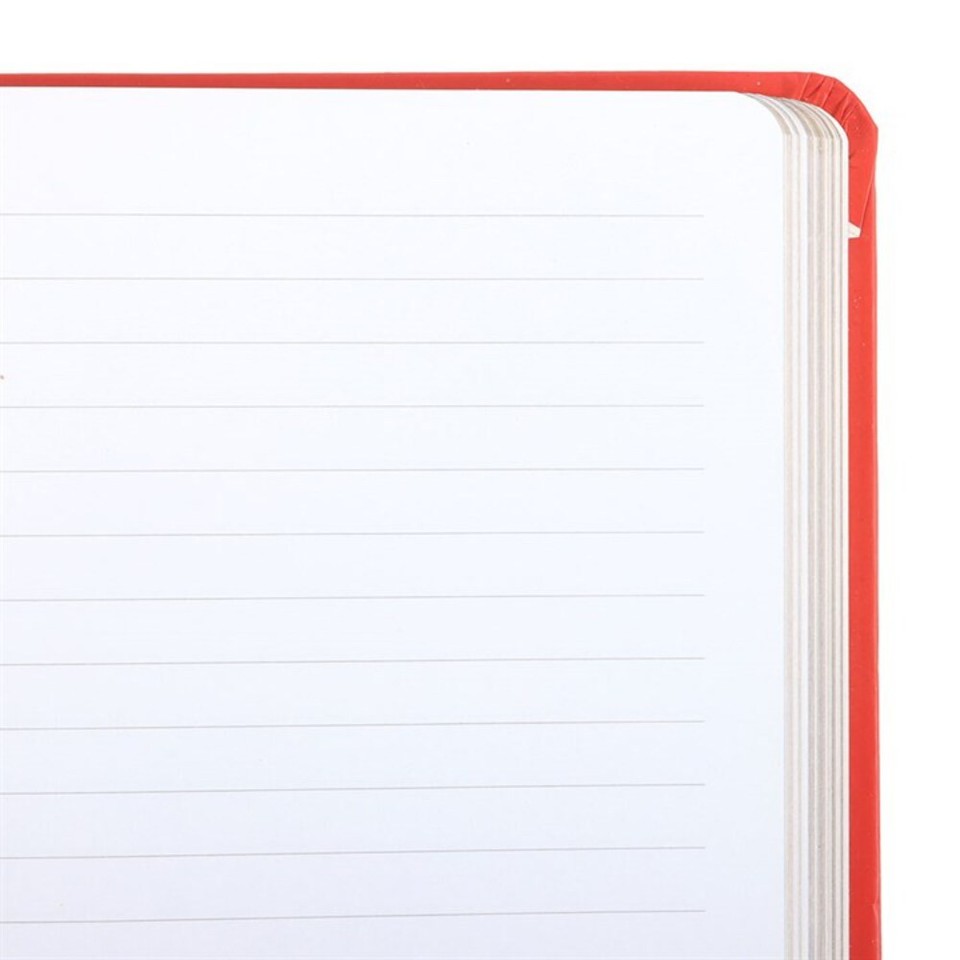 Single, Taken, Too Busy Enjoying Life A5 Notebook | eBay UK