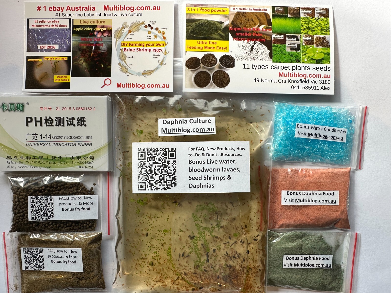 Live Brine vinegar eels,shrimps , micro worms,Turbatrix aceti,daphnia ...