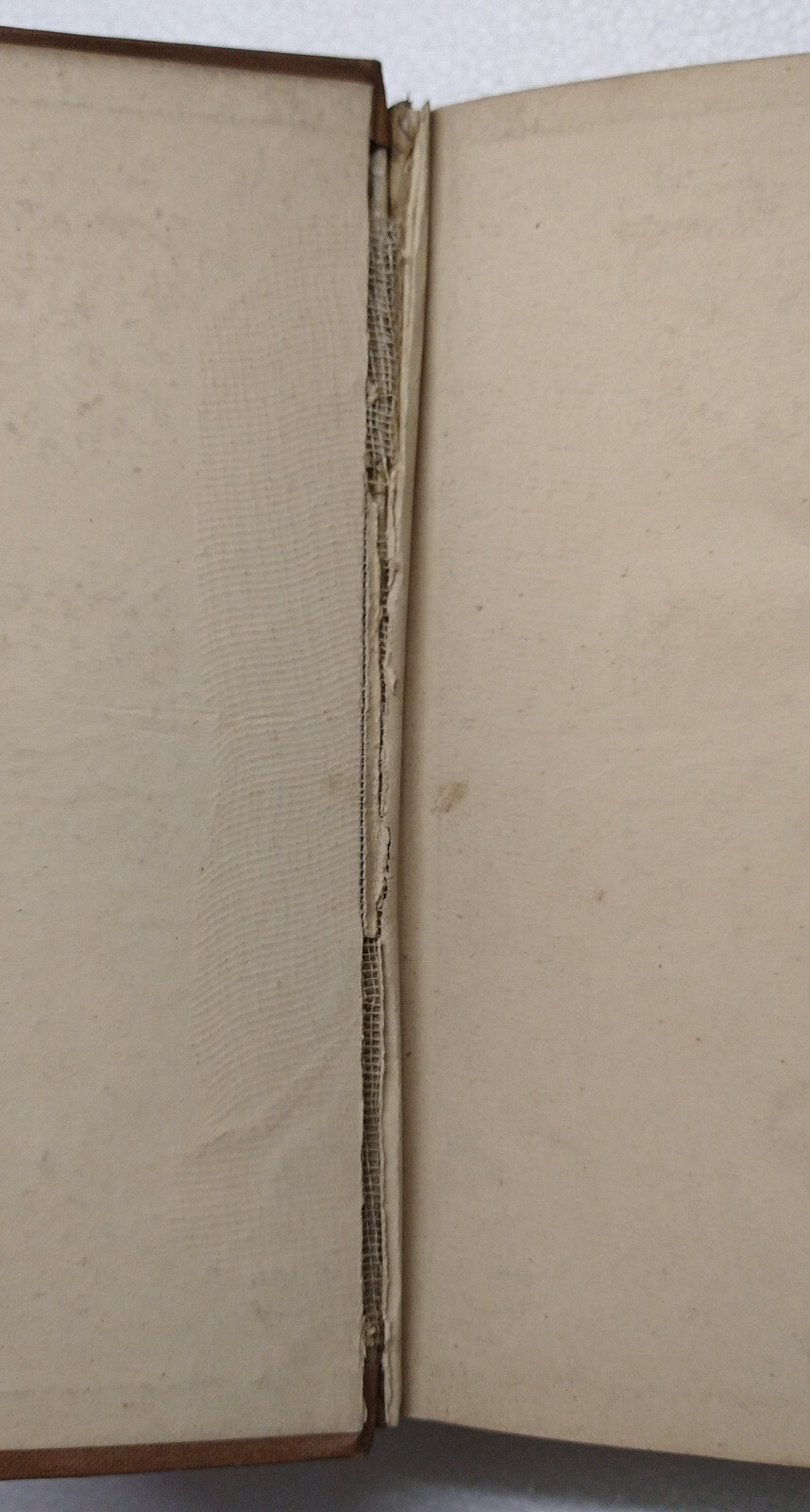 A Score of Famous Composers, by Nathan Haskell Dole, c1891 | eBay