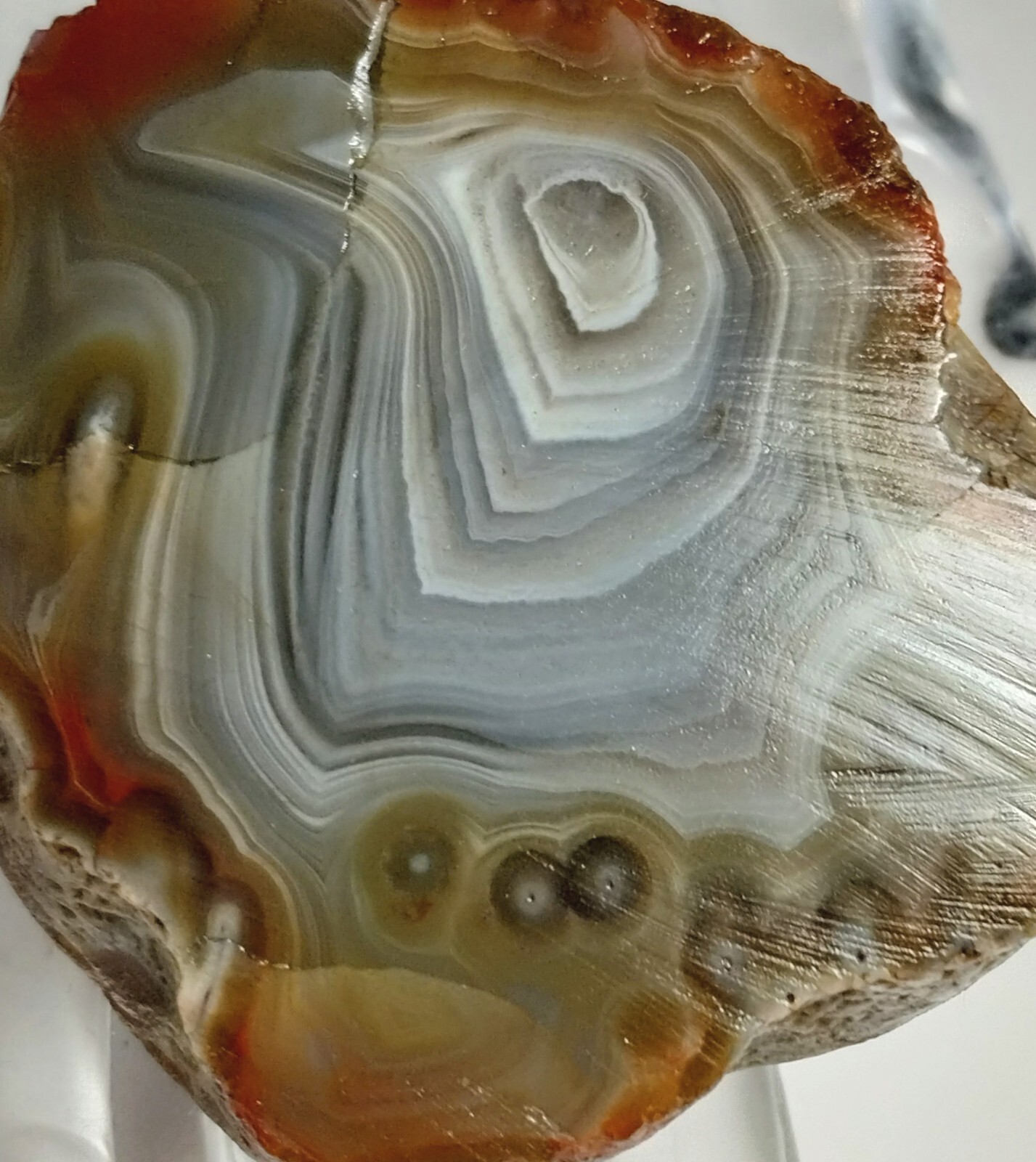 LAKE SUPERIOR (EYE AGATE ) 10.2oz MUSEUM QUALITY ALIEN HEAD LSA ...