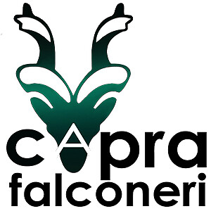 Capra Falconeri International | eBay Stores