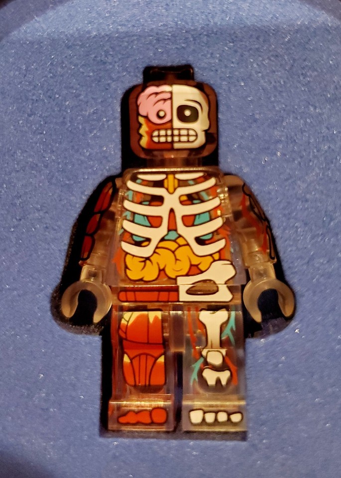 In Hand Citizen Brick - The Visible Man Minifigure - Rare New LEGO ...