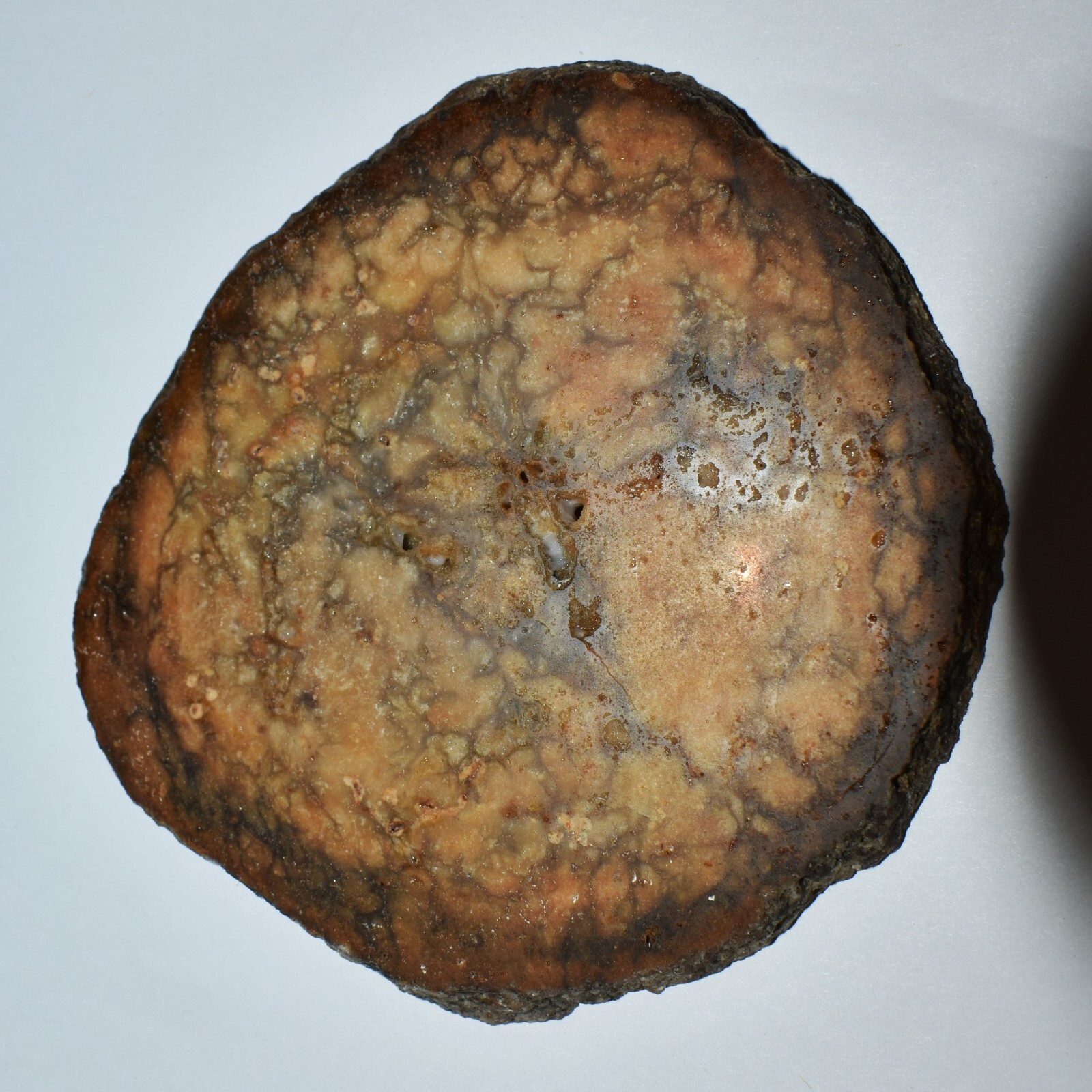 Brain Geode Drusy Chalcedony from North Carolina USA Polished Slab | eBay