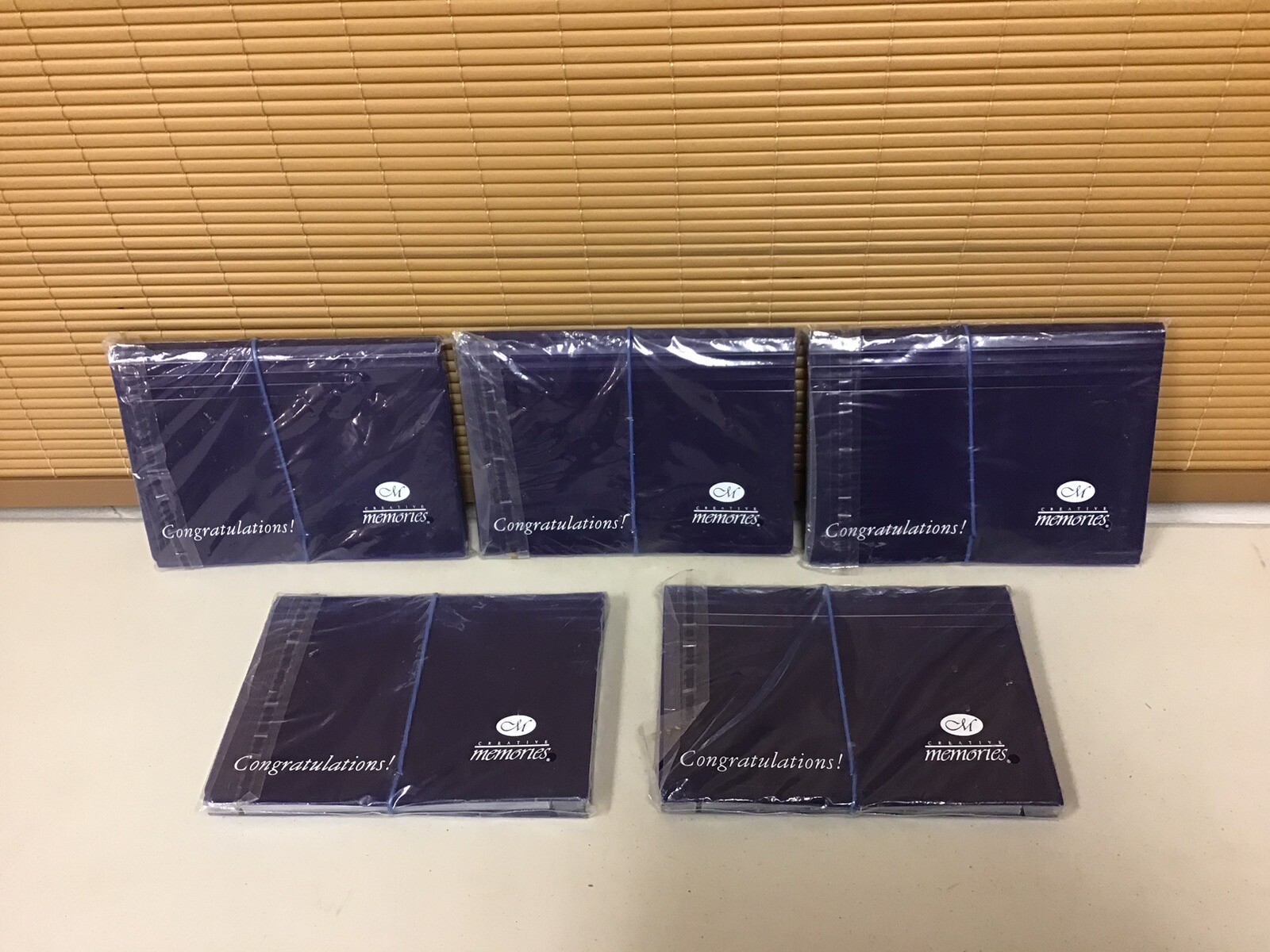 5 New Creative Memories Photo Storage Mates Blue Accordion Organizers ...