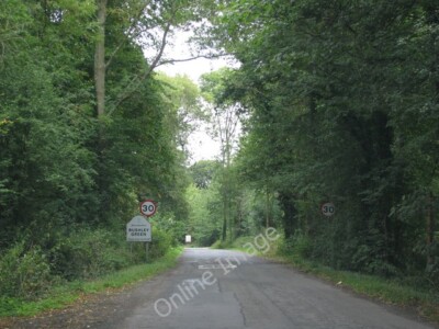 Photo 6x4 Road to Bushley Green Slades Green c2010 | eBay UK