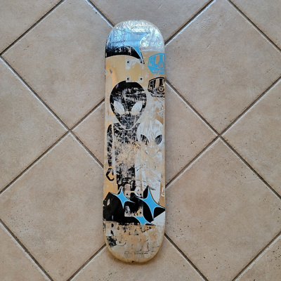 Rob Dyrdek Vlezig Skateboarden Rob Skateboards | Skateboardsguider.com