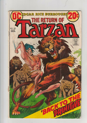 Tarzan #221 G 1973 DC Comic | eBay