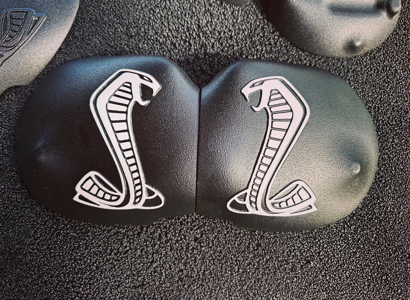 15-23 Mustang GT350 Custom Fitted Strut Tower Covers Caps (choose Logo ...