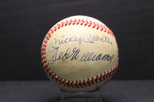 Hall of Fame Multi-Signed Baseball (Mantle/ Williams) Autograph JSA ...