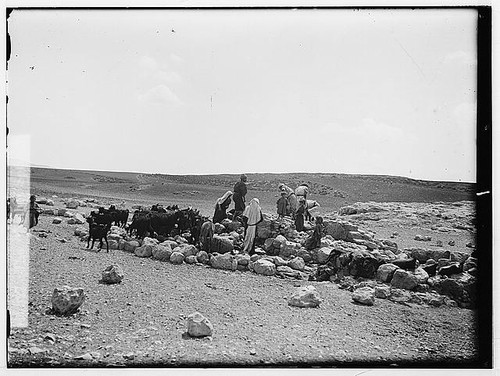 Excavations at Tell Beit Mirsim,Kirjath-Sepher,1926,Nether Spring,Debir ...
