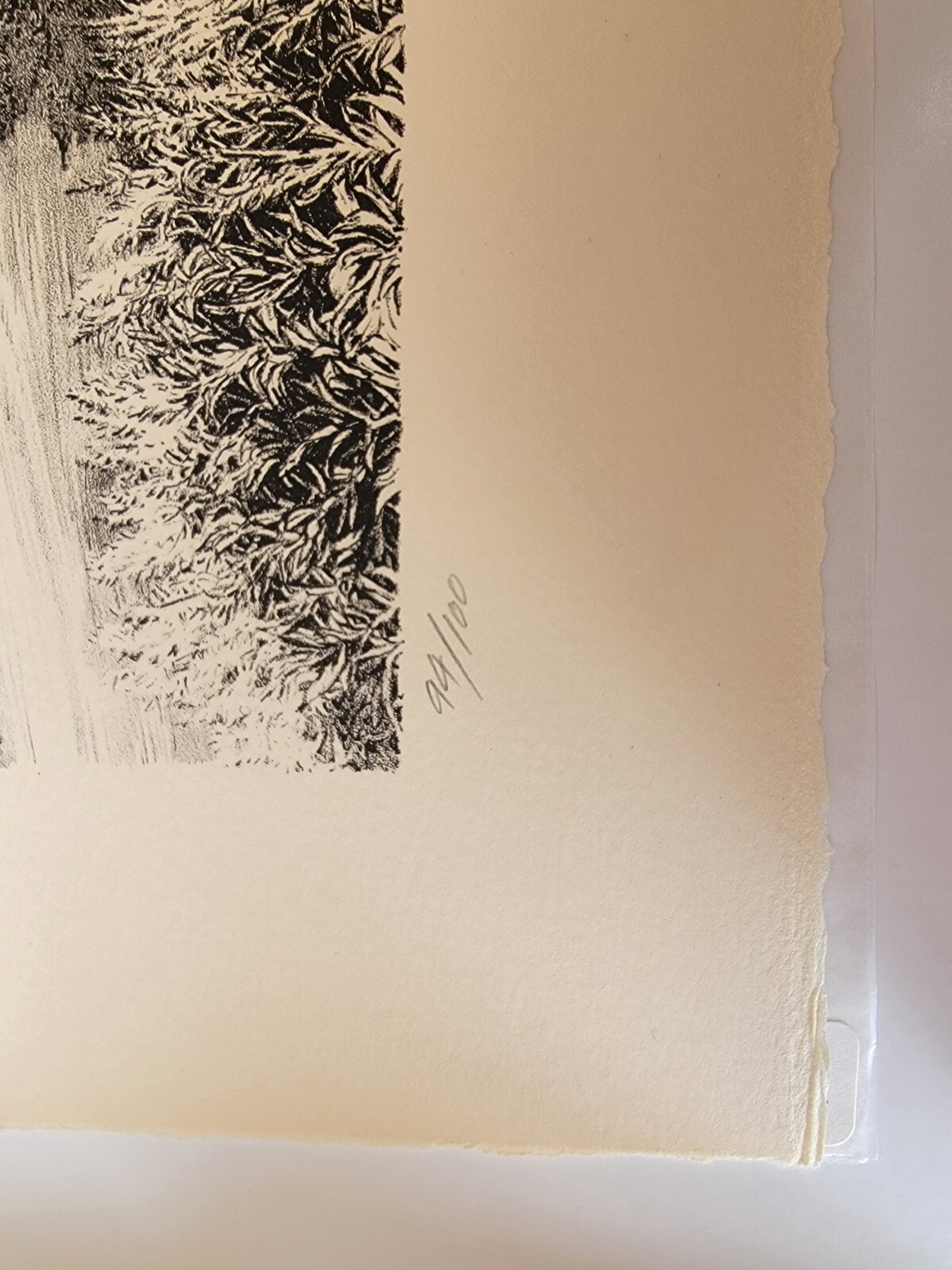 RARE! Bev Doolittle - SHOSHONE CROSSING - #94/100 Stone Lithograph with ...